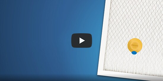 Smart Air Filter | Products | Filtrete™